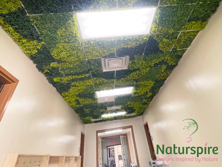 Bring Nature Indoors: The Art and Benefits of Moss Art